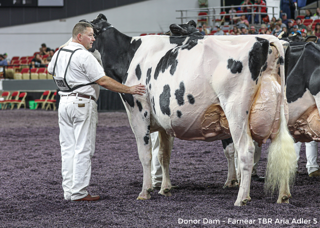Farnear TBR Aria Adler-ET *RC EX-96-2E Architect*RC – Genosource
